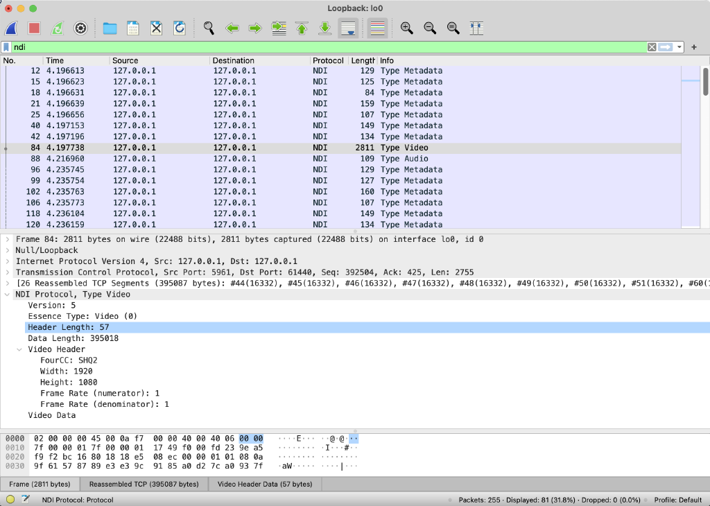 Wireshark Dissector